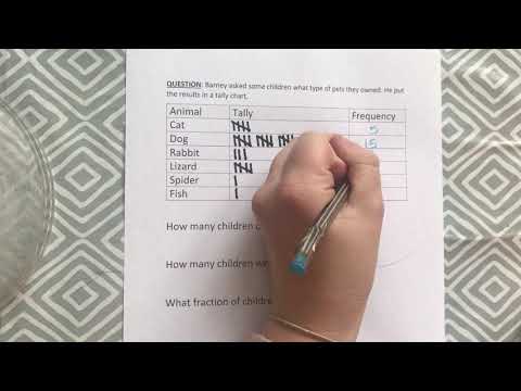 Reading Tally Charts - Maths
