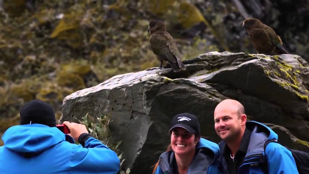 Franz Josef Glacier Guides Glacier Valley Walk