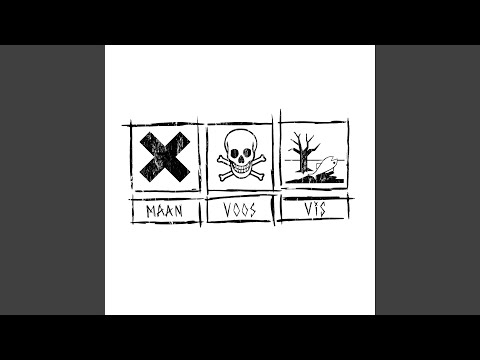 Vis