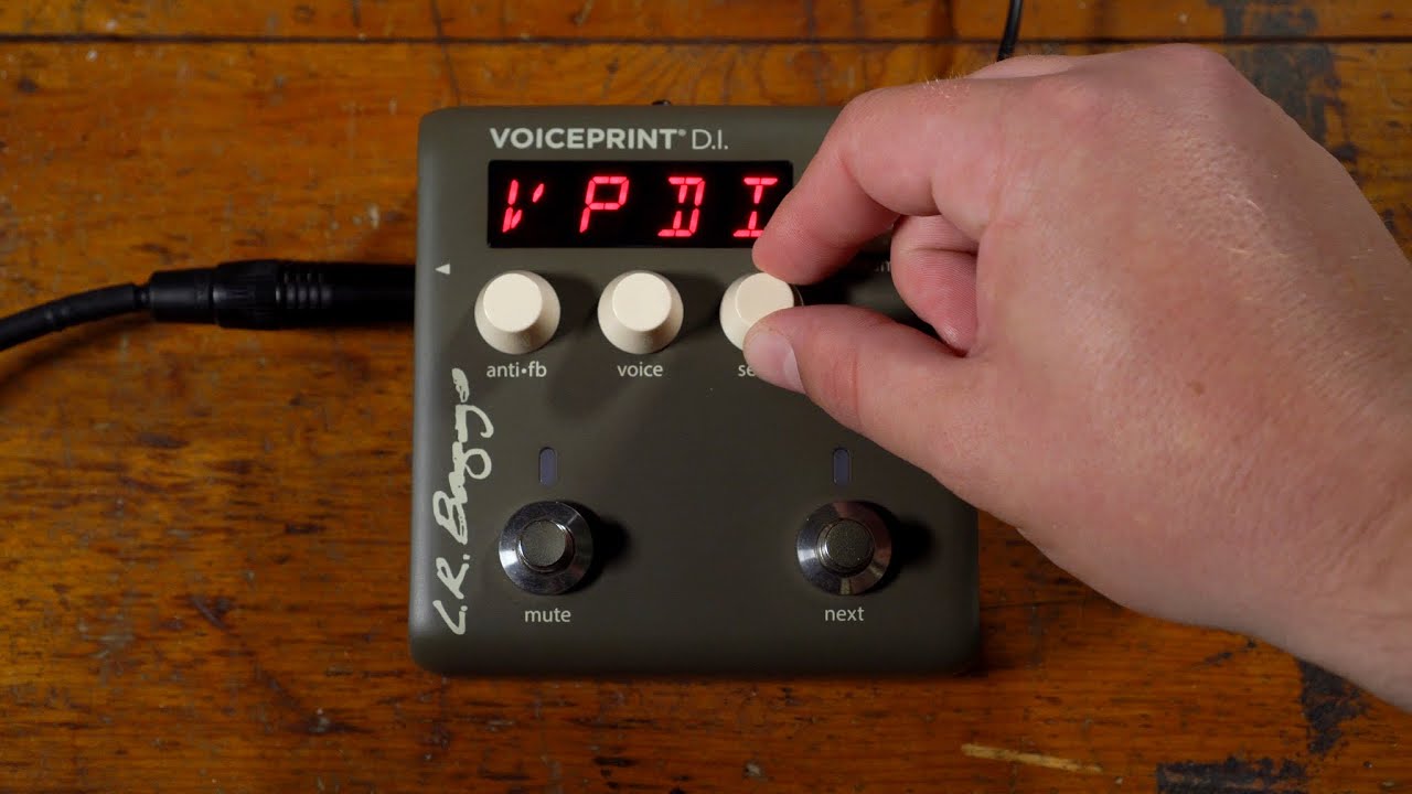 Voiceprint DI | Quickstart Guide