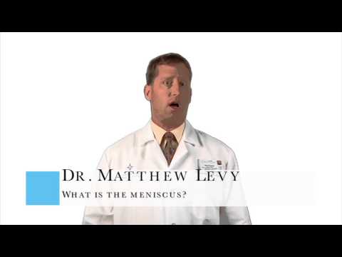 What is the meniscus?