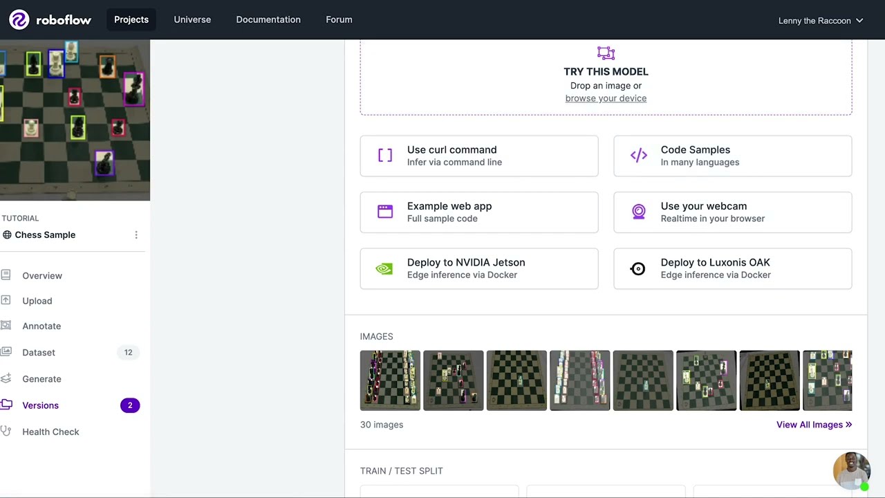 Roboflow Deploy: Inference with the Hosted API and Python Package (July 2022)