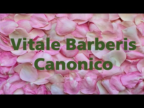 How to pronounce Vitale Barberis Canonico? - Vitale Barberis Canonico pronunciation
