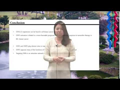 Role of STAT signaling in breast cancer