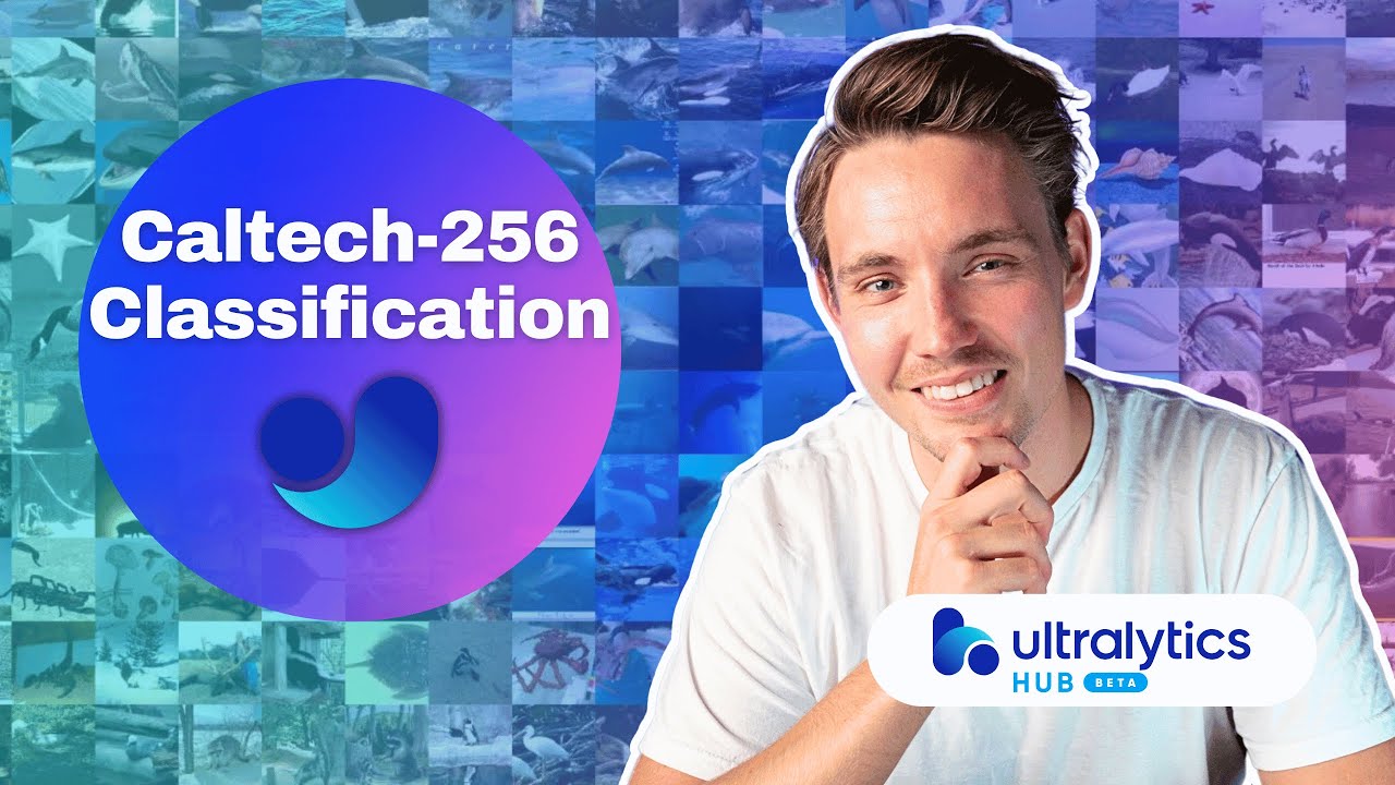 Caltech-101 数据集 - Ultralytics YOLO 文档