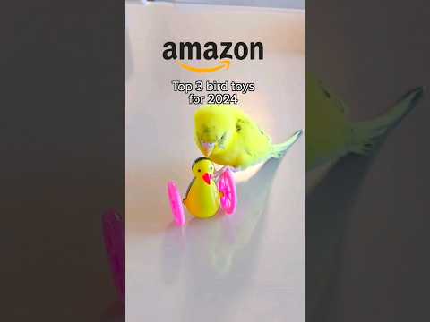 Amazon bird toys you NEED
