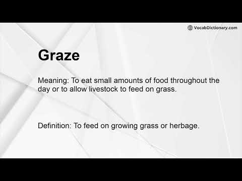Graze Meaning
