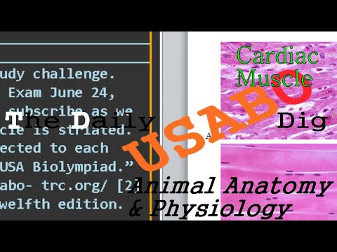 USABO - Cardiac Muscle (Animal Anatomy and Physiology