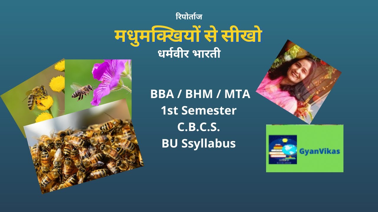 Learning from Bees: A Message of Unity and Knowledge | Galaxy.ai