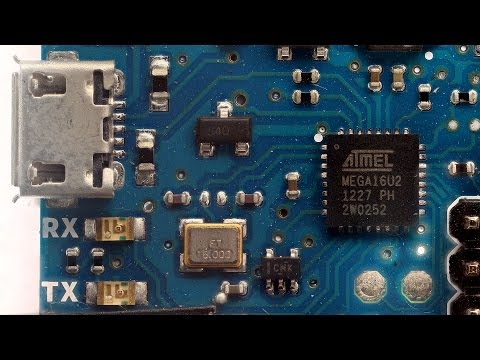 How GigaPixel Macro Photos are Taken