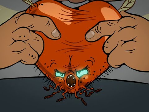 [Flapjack]These are not hearts, these are blood gnats !