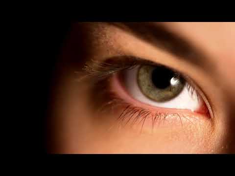 INTO THE FORGOTTEN FOREST Trailer 2 (Book One of THE OUTCROSSED SERIES) by River J. Hopkins