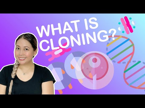 What is Cloning? | SHE-ensya Lecture Series (Genetics and MolBio)