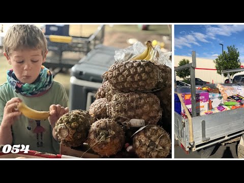 June Monthly Grocery Haul Australia | Costco | Aldi | Large Family | Stockpile | Bulk | Off Grid 054