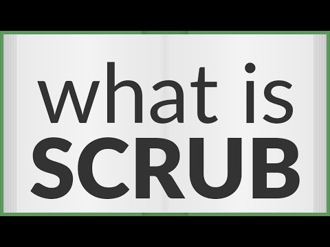 Scrub | meaning of Scrub