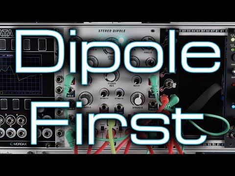 SSF Stereo Dipole Black | Reverb