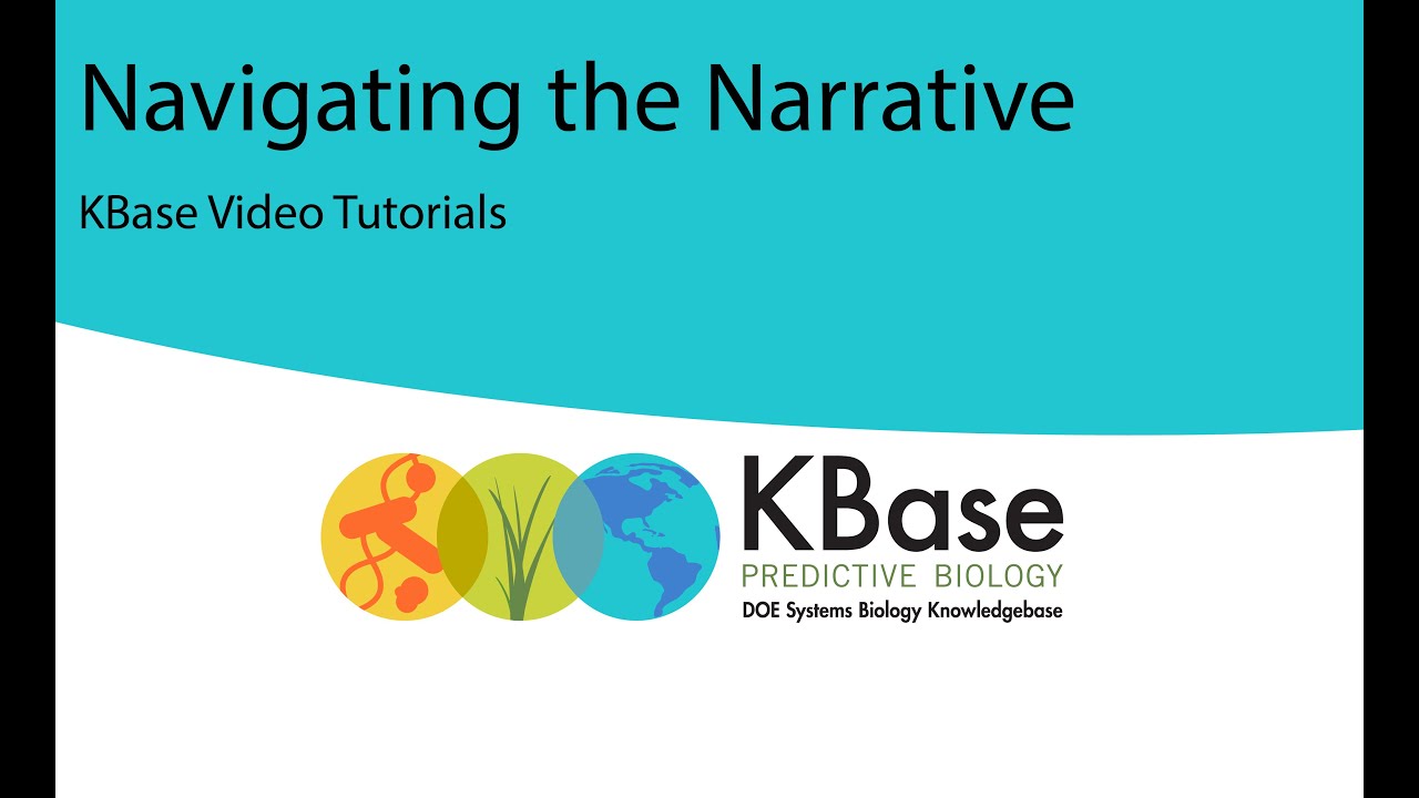 Narrative Interface Guide
