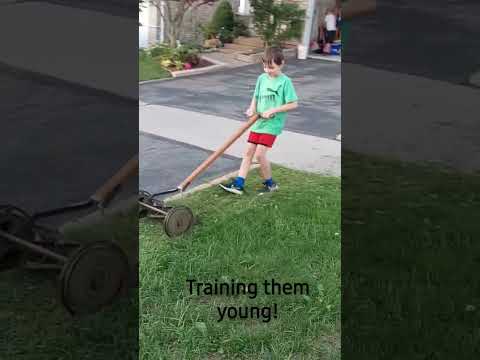 Old School Lawn Care