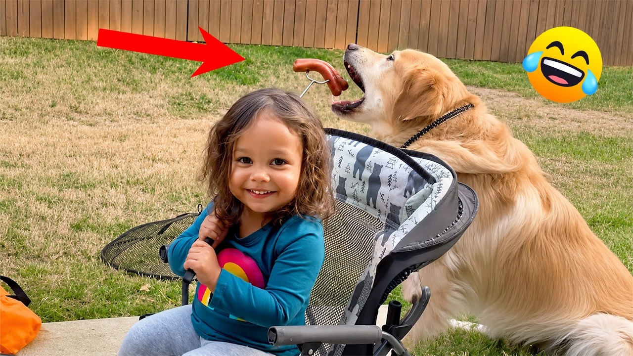 Best Funny Animal Videos 2026 😂 Funniest Dogs and Cats That Made The Internet Better
