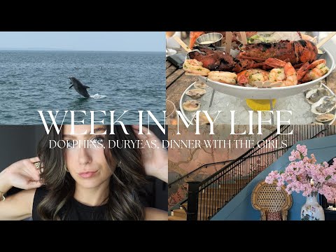 Week in my life | dolphins, duryea’s, dinner with the girls & more