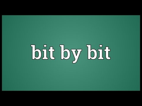 Bit by bit Meaning