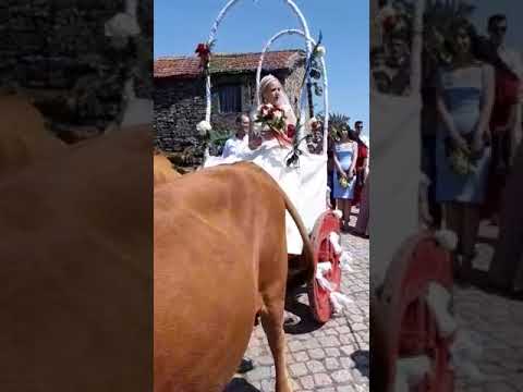 casamento em moura morta castro daire