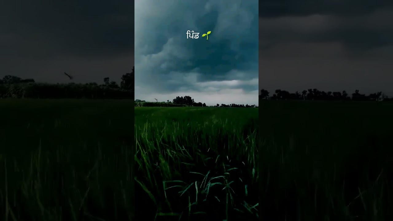 PIND | KHET PUNJAB DE PIND | Punjabi Short | New whatsapp status #punjab #shorts #youtube #pindawale