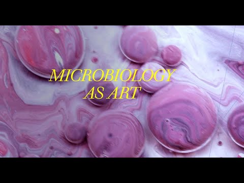 Microbiology as Art