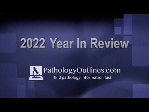 2022; The Year In Review