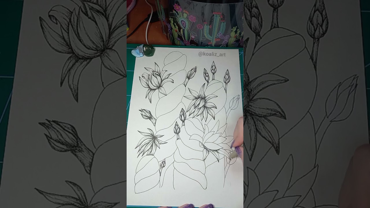 Spiral Cactus IG koaliz_art #art #shorts #sketchbook #ink #sketch #flowers #cacti #succulent