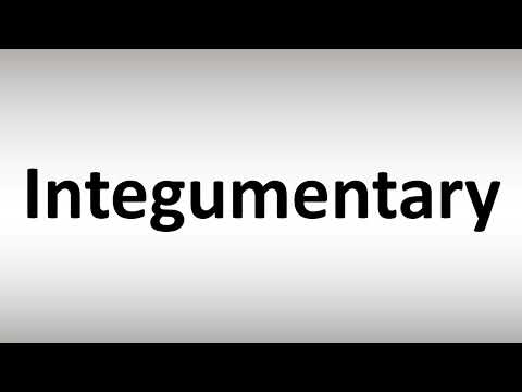 How to Pronounce Integumentary