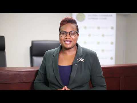 Filing a Document by a Pro Se Litigant