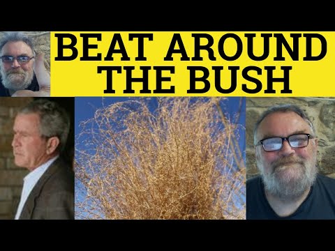 🔵 Beat Around the Bush Meaning - Beat About the Bush Examples - Beat About the Bush Defined - Idioms