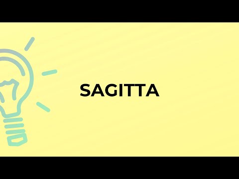 What is the meaning of the word SAGITTA?