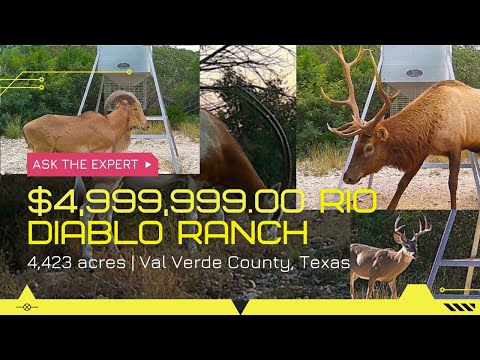 Ask the Expert About A $4,999,999 Hunting Ranch For Sale in South Texas | 4,423 Acres | #WillSellsIt