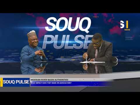 The Impact of the Nigerian River Basin Authority on Agriculture | SOUQ PULSE
