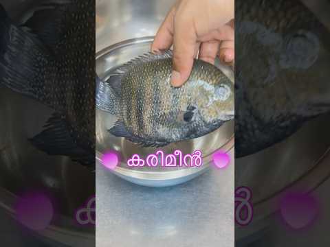 ๐ฏ๐ฎเดเดฐเดฟเดฎเตเตป เดเดจเดฟเดเดณเตเดชเดคเตเดคเดฟเตฝ เดตเตเดคเตเดคเดฟเดฏเดพเดเดพเด #pearlspotcleaning #fishcuttingskills #shorts #fishcutting #food