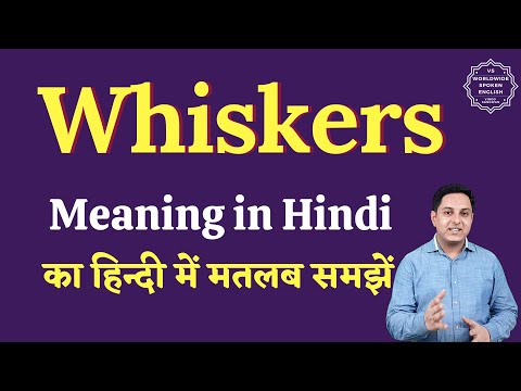Whiskers meaning in Hindi | Whiskers ka matlab kya hota hai | English to hindi