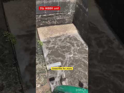 #mbbr stp plant bacteria, biomass making, #treatment #environment #justiceforsidhumoosawala