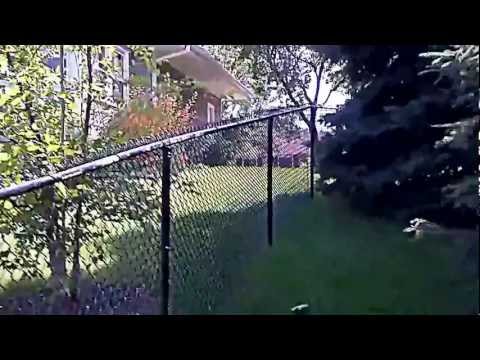 Black Chain Link Fence Company | Fence Company Burnsville, MN | 651-354-2878 |