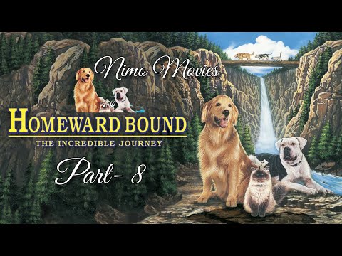 Homeward Bound part -8 || Hollywood Movies || Comedy Movies || Dog's & Cat Fun Filled Movies 🤣