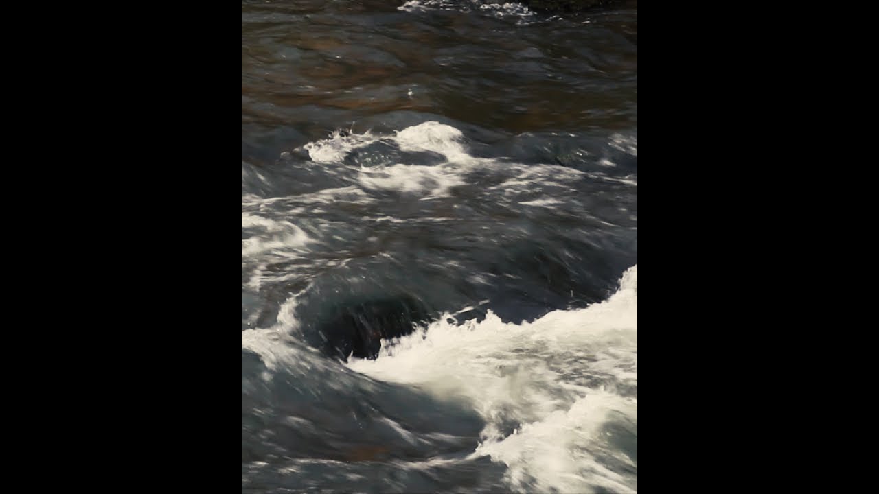 ocean waves spa ambience short | 60 Secs of Calm Ambience Docs Shorts Series | A Calm Ambience