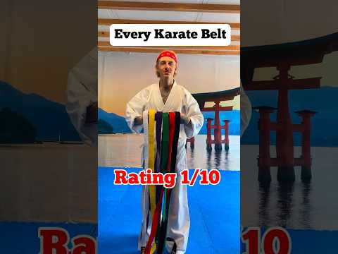 Every Karate Belt#shorts