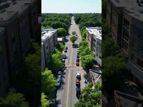 Bird's-eye view of Mercer