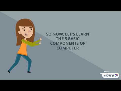 5 basic components of computer