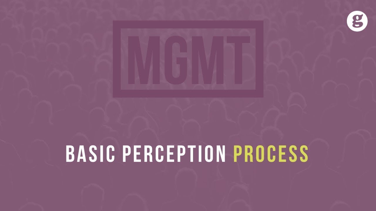 Basic Perception Process