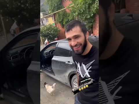 Zuba 😂👏#ufc #zubairatukhugov#khabib_nurmagomedov#islammakhachev#рекомендаци#рекомендации #dagestan