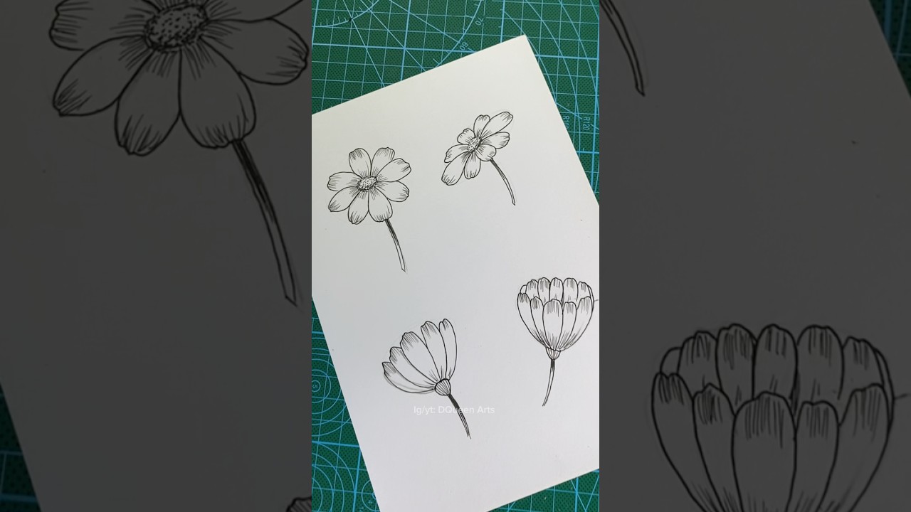 How to draw flowers for BEGINNERS easy 🌸 #art #howtodraw #drawing #drawingtutorial #dqueenarts