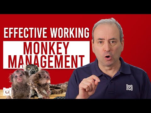 What is Monkey Management? How to Deal with a Monkey on Your Back