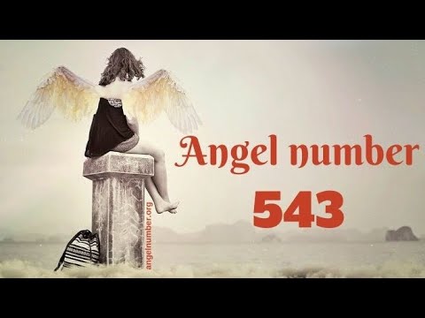 ANGEL NUMBER 543